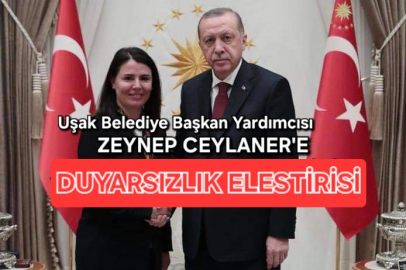 BELEDİYE BAŞKAN YARDIMCISI ZEYNEP CEYLANER'E DUYARSIZLIK ELEŞTİRİSİ ...